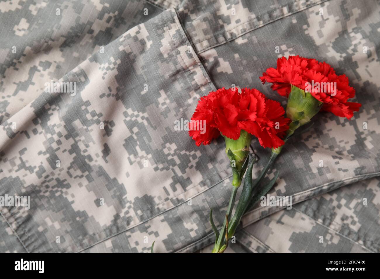 Fresh carnation flowers with military uniform Stock Photo - Alamy