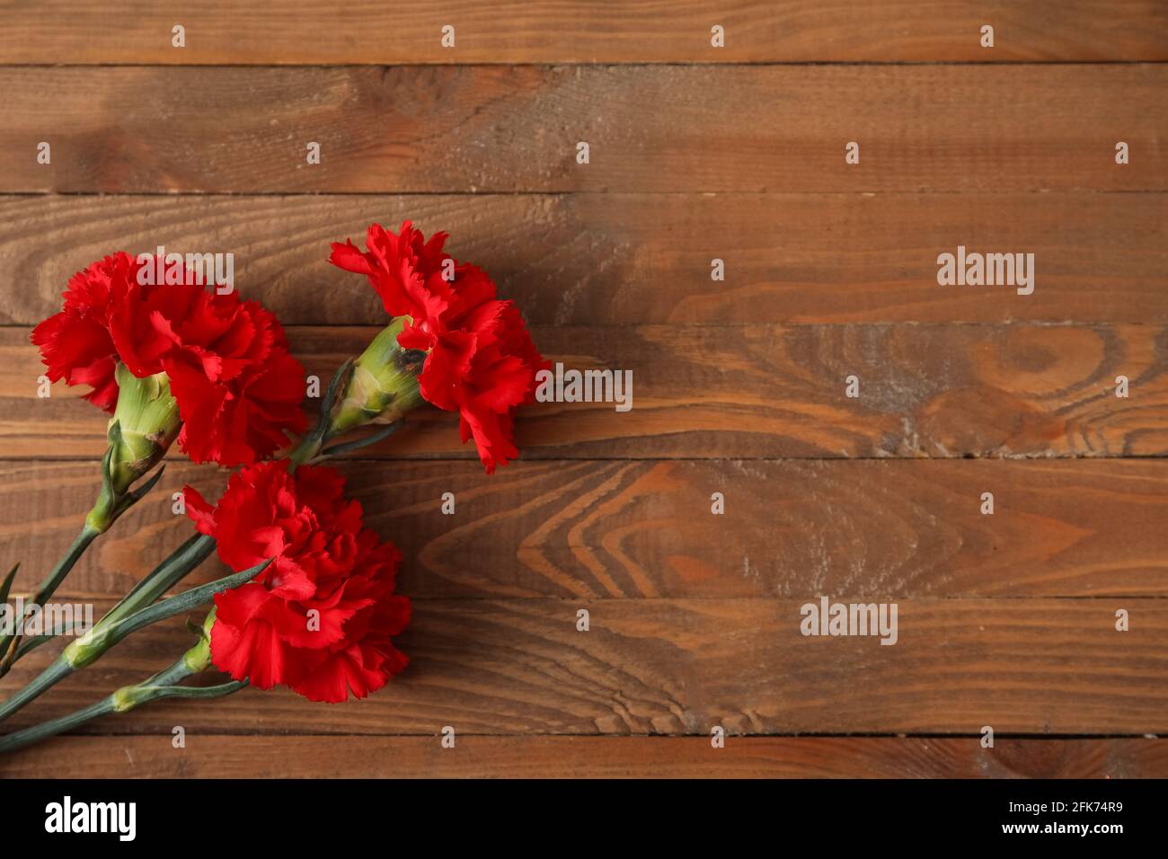 Liberty carnation hi-res stock photography and images - Alamy