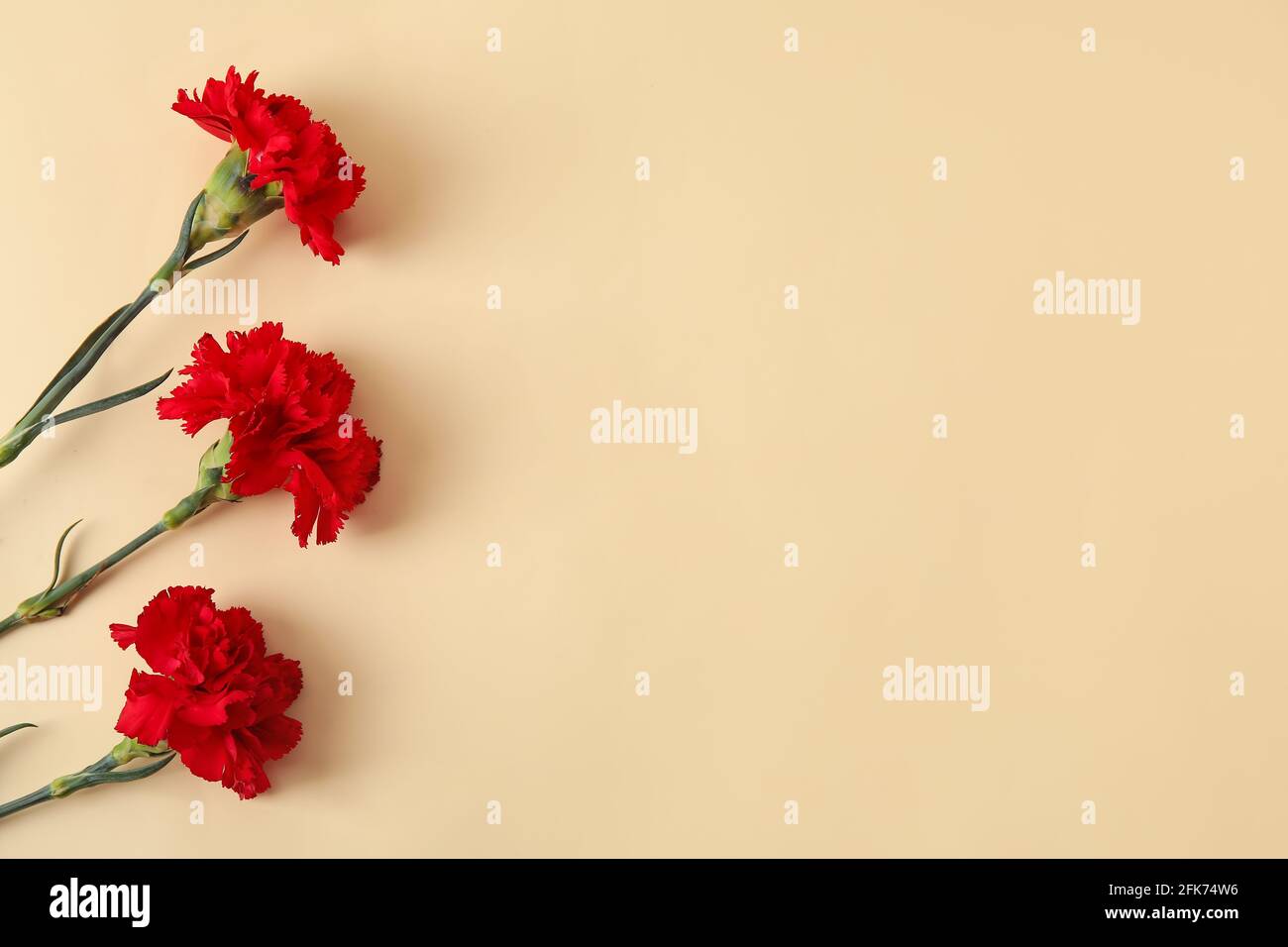 Liberty carnation hi-res stock photography and images - Alamy