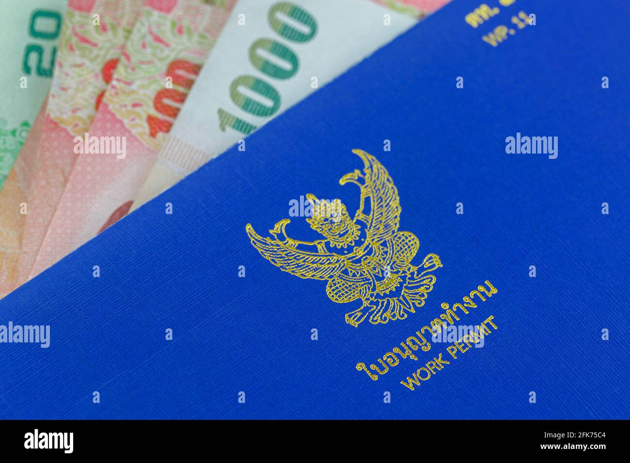 Selective focus of blue Thai Work Permit book (WP.11) on Thai Baht ...