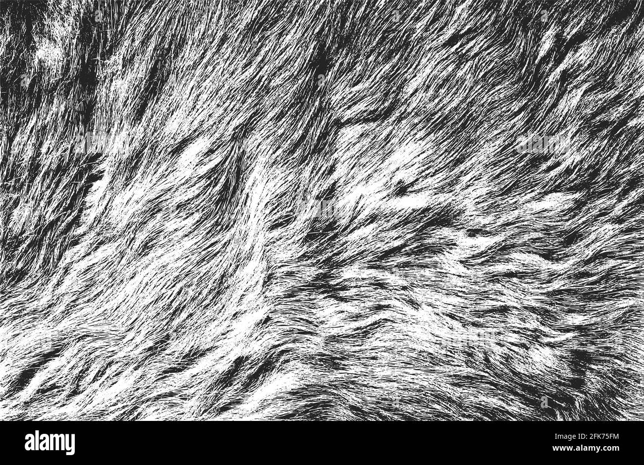 Distressed overlay texture of natural fur, grunge vector background ...