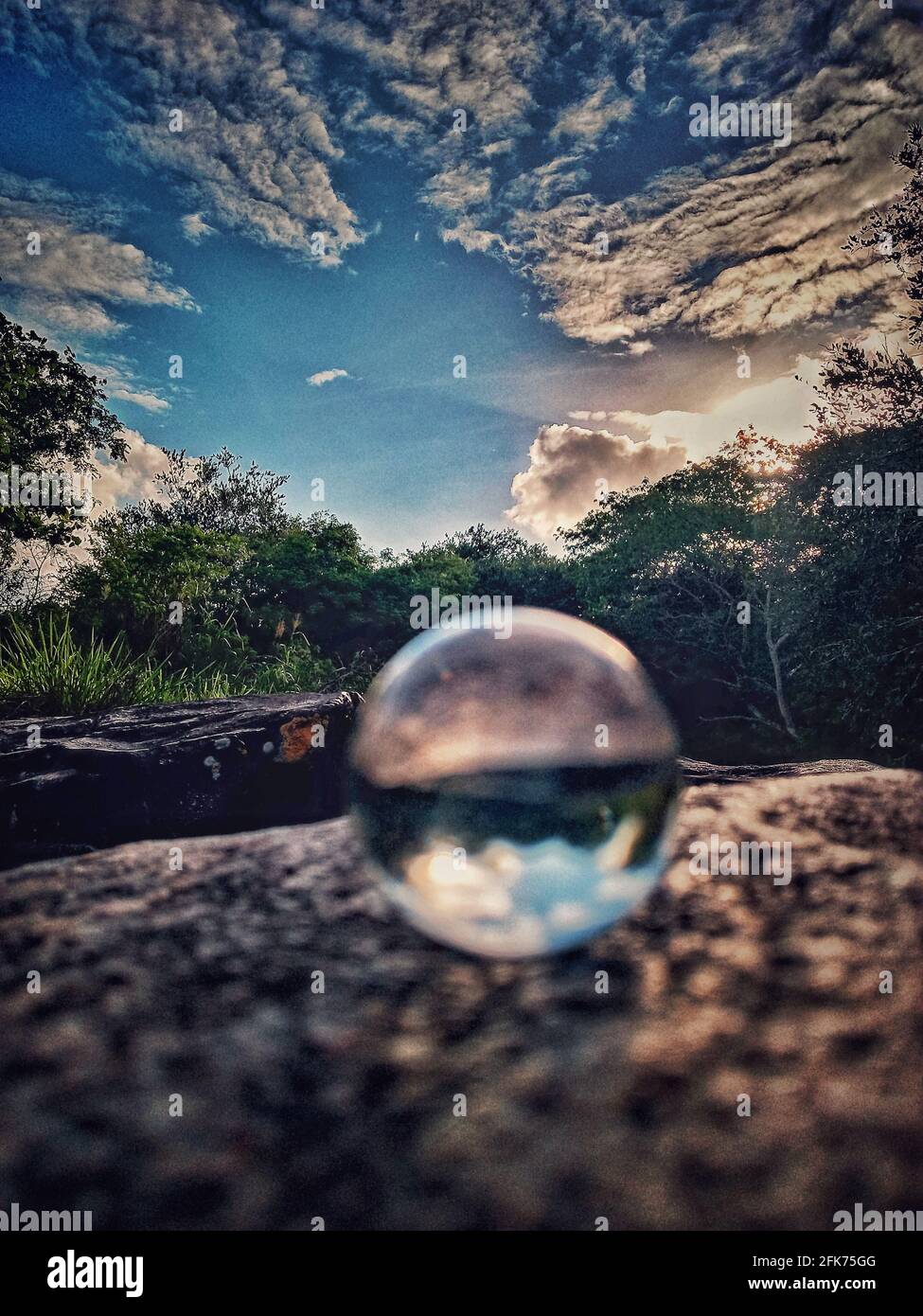 Eerie scenery of a cloudy sky above the forest projecting in a water ...