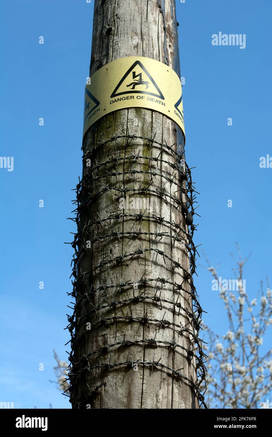 Wire is wrapped around the post hi-res stock photography and images - Alamy