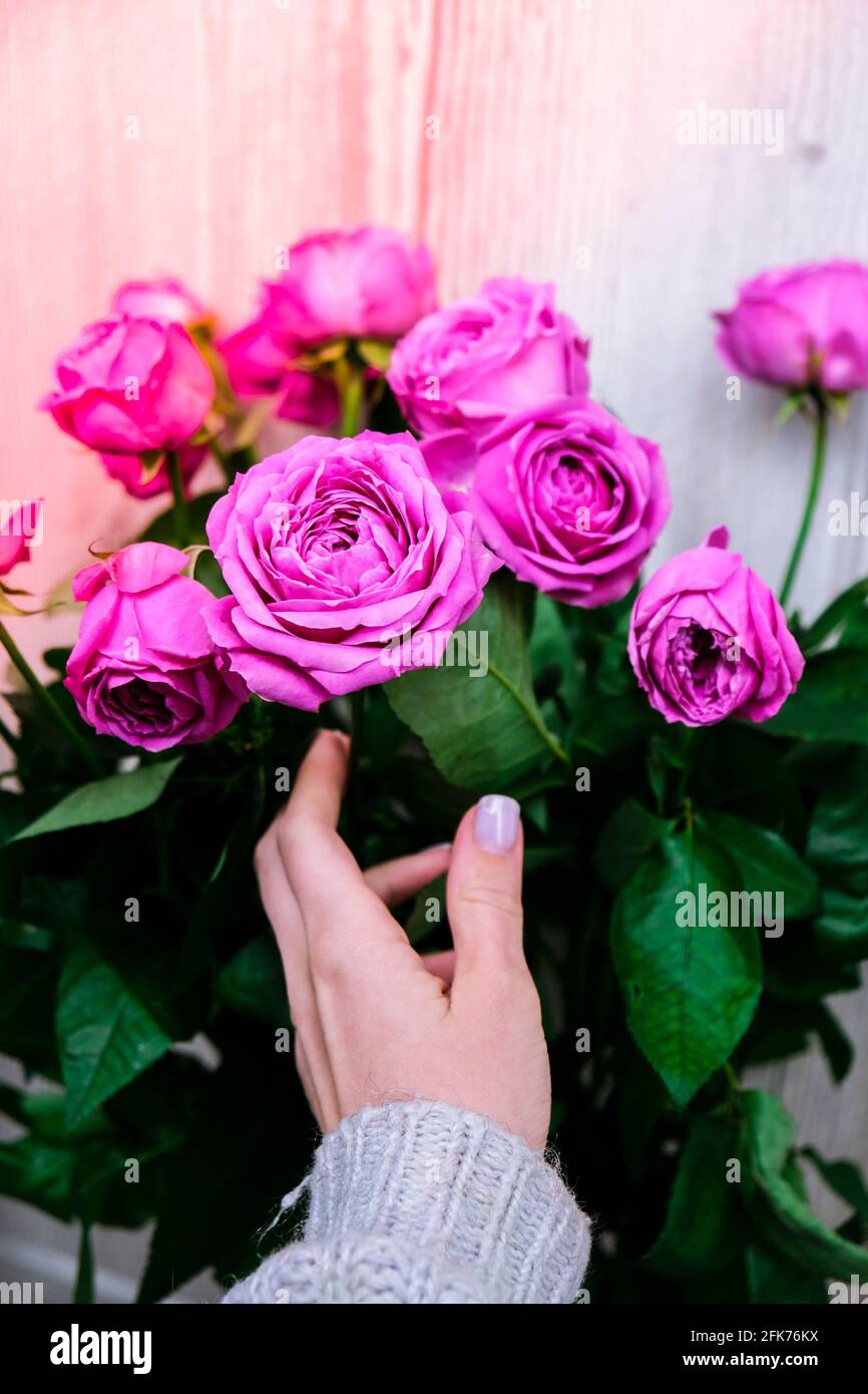 Holiday concept, bouquet of roses for a birthday, valentines mothers ...