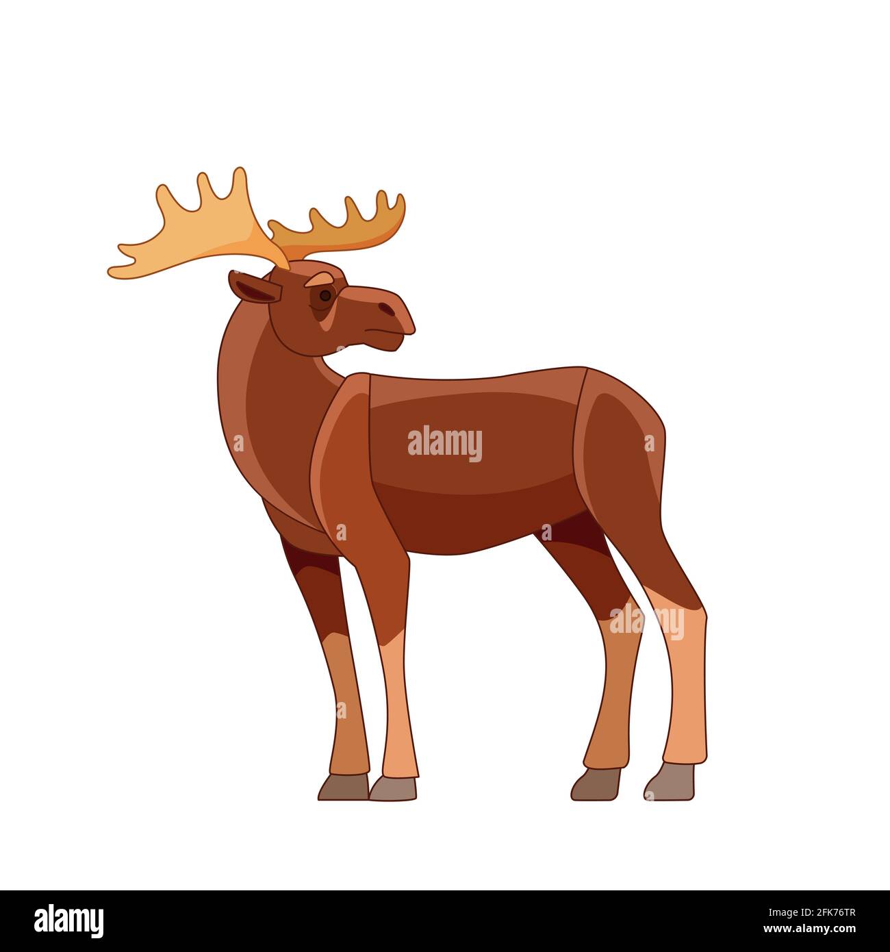 Moose or Elk, Alces alces. Beautiful animal in the nature habitat ...