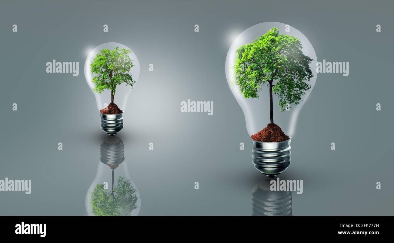 Tree with soil growing on Light bulb. Think green, Power saving ...
