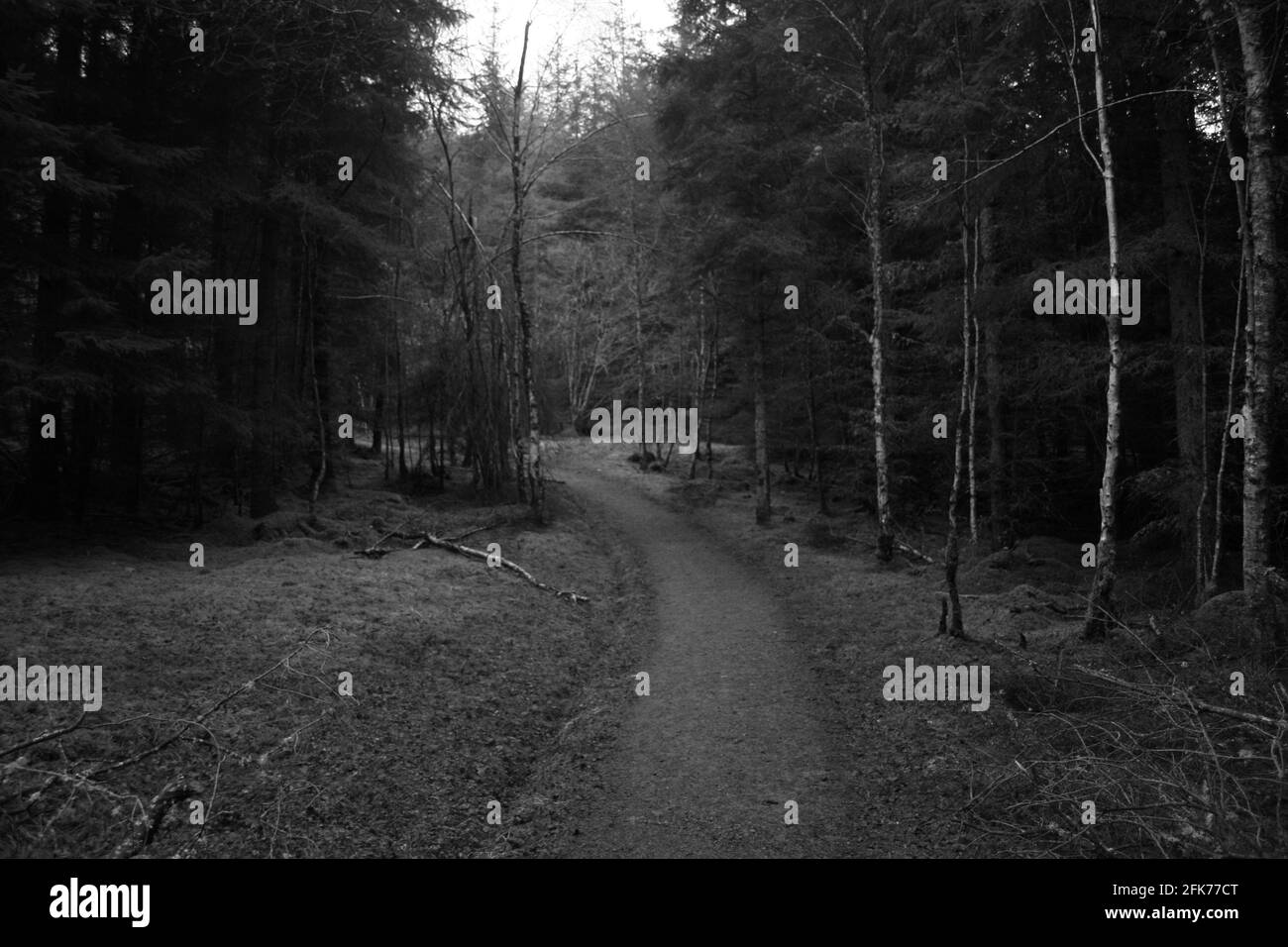The Dark Path Stock Photo - Alamy