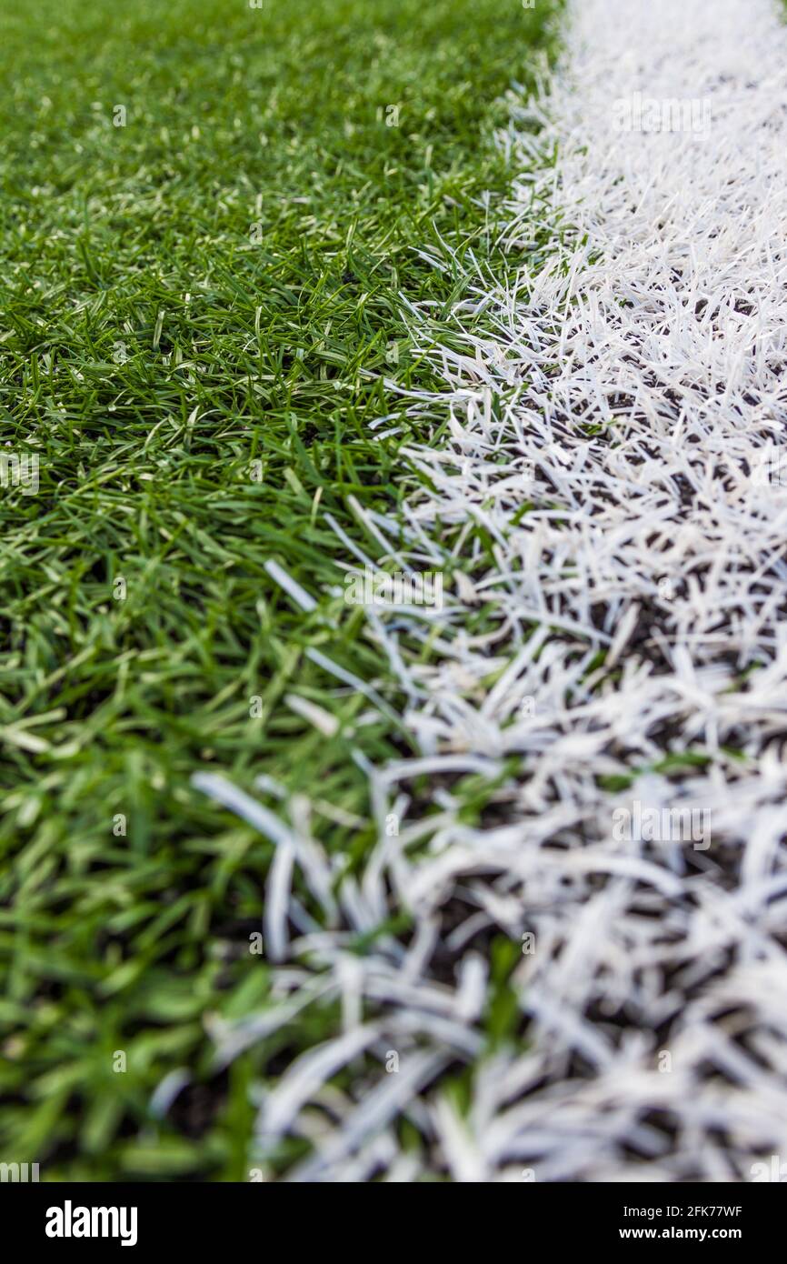 white line on soccer field grass background Stock Photo - Alamy