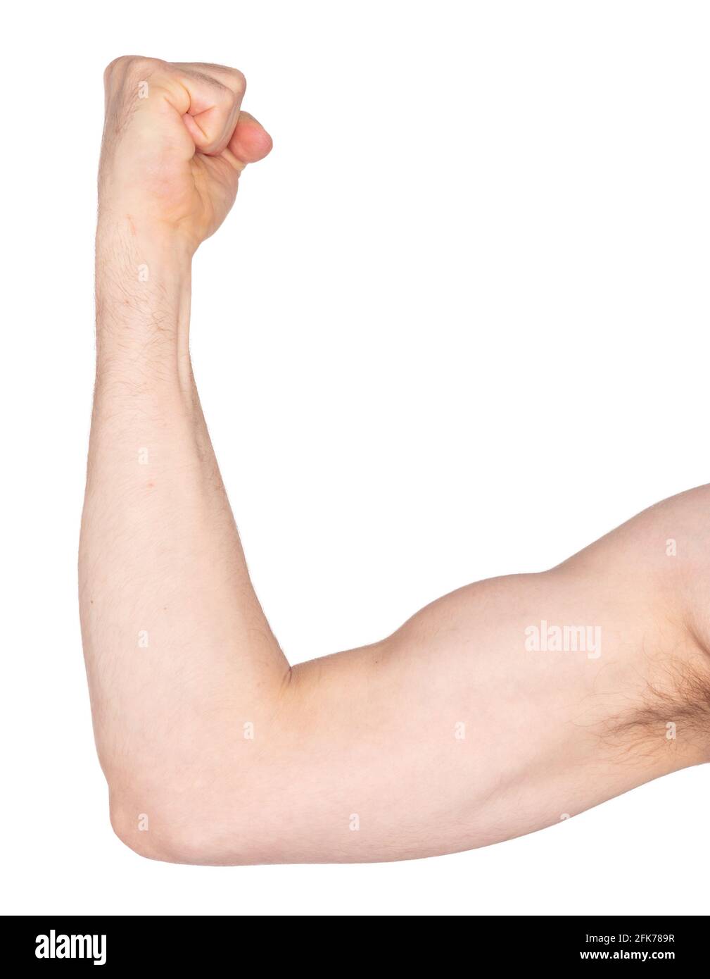 Male arm shows biceps, isolated on white Stock Photo - Alamy
