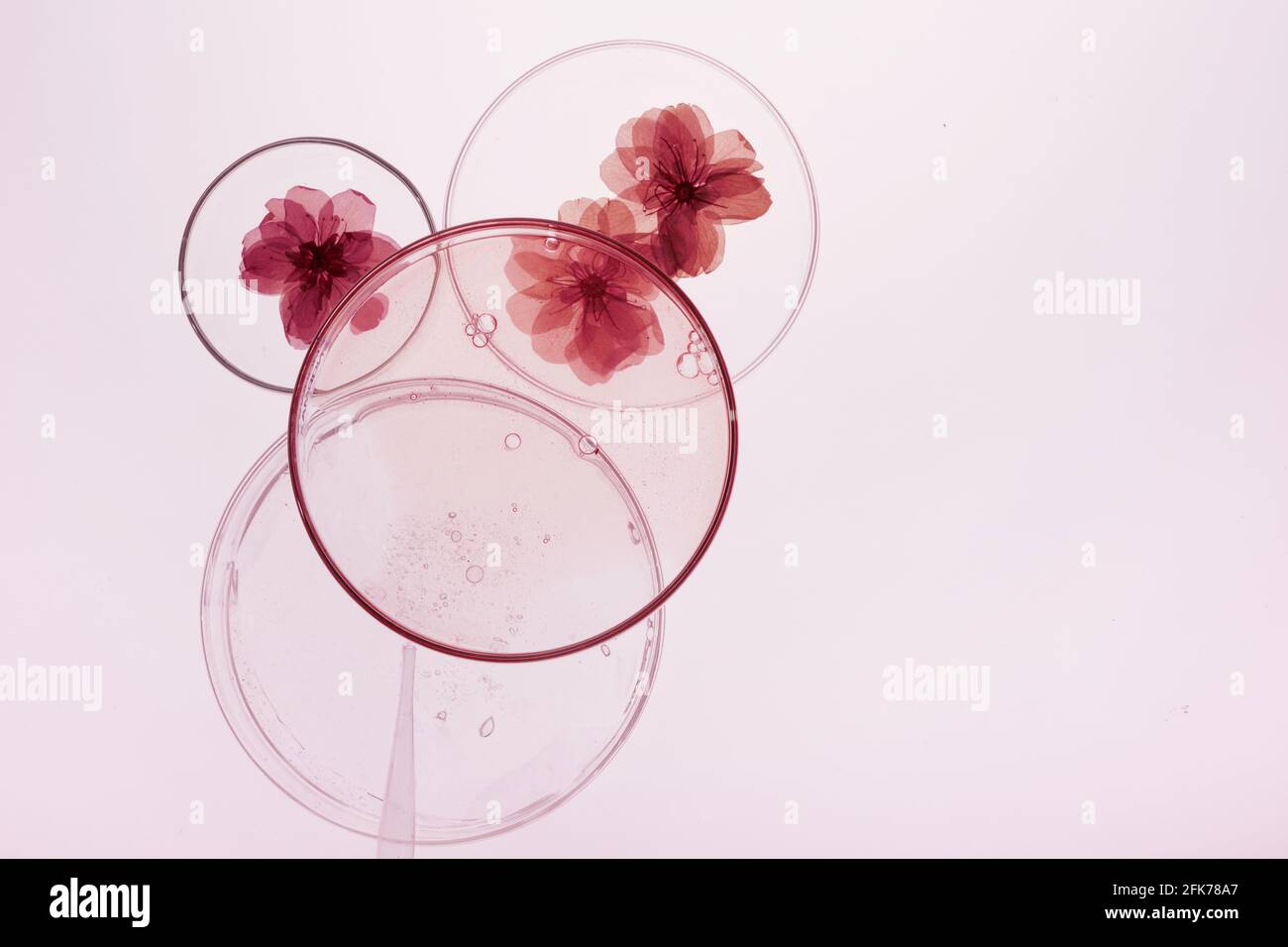 Skincare science laboratory hi-res stock photography and images - Alamy