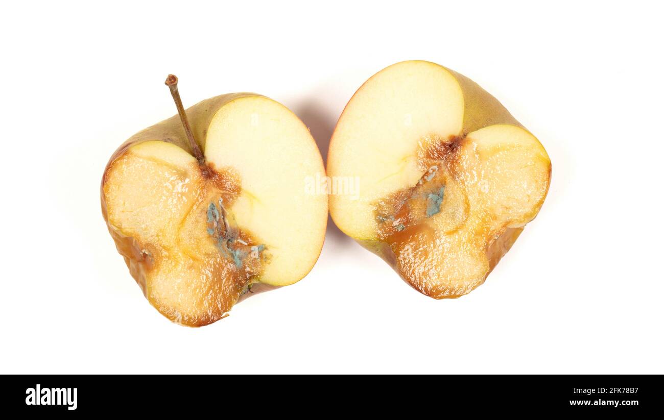 Rotten apple isolated on a white background Stock Photo - Alamy