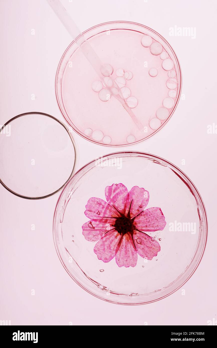 Abstract cosmetic laboratory. Chemical laboratory research. Nature ...