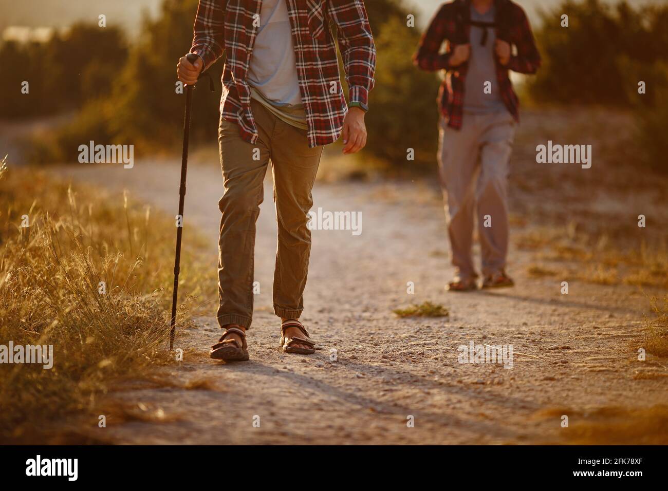 two men hikers enjoy a walk in nature, sunset time in summer. enjoying ...