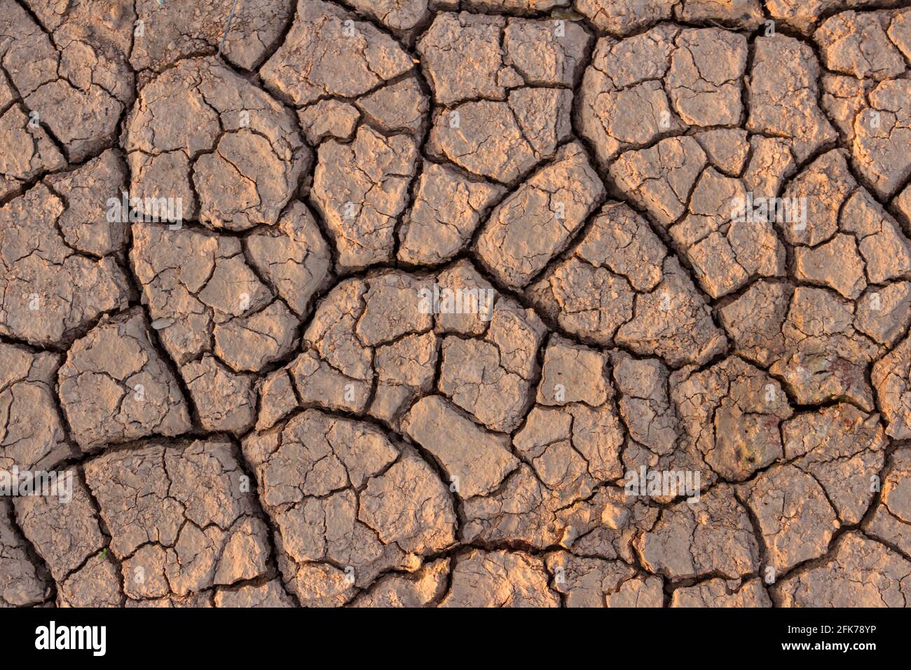 cracks in the ground background Stock Photo - Alamy