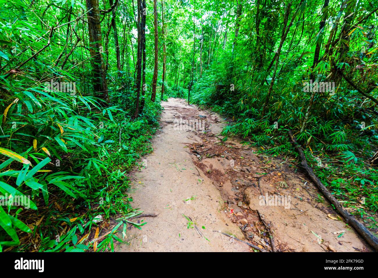 Road down to the waterfallbackground Stock Photo - Alamy