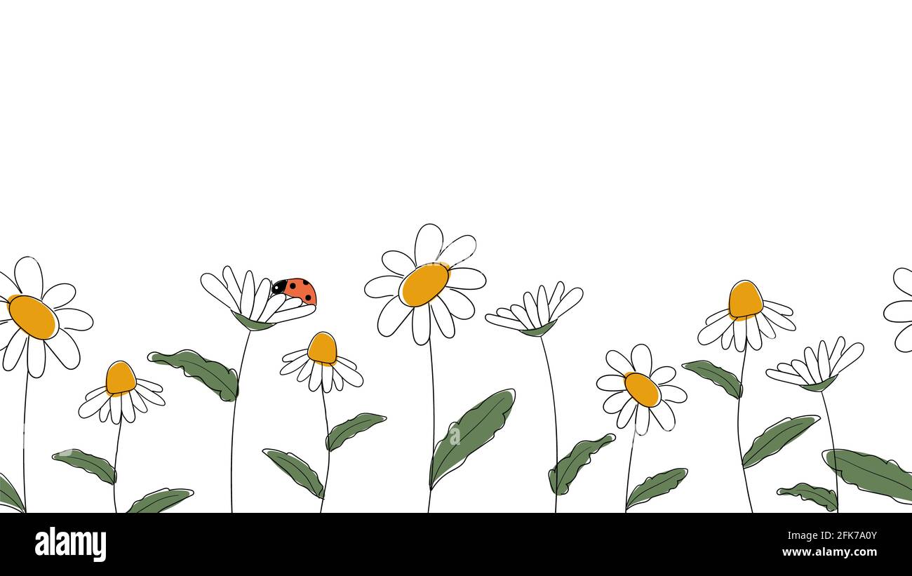 Ladybug Wallpaper Border