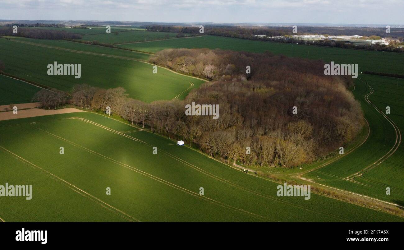 James wood murder hi-res stock photography and images - Alamy