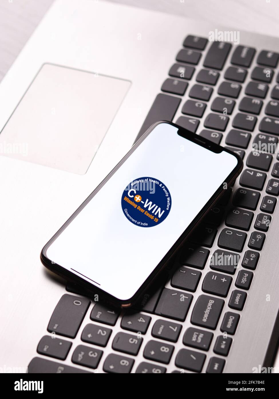 Cowin hi-res stock photography and images - Alamy