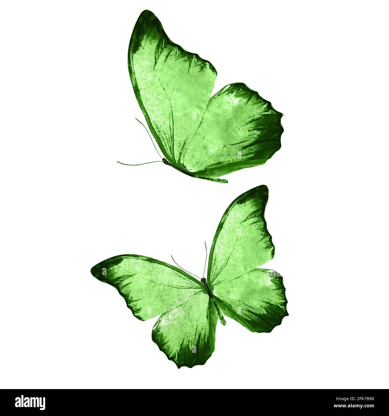 Mariposas Verdes