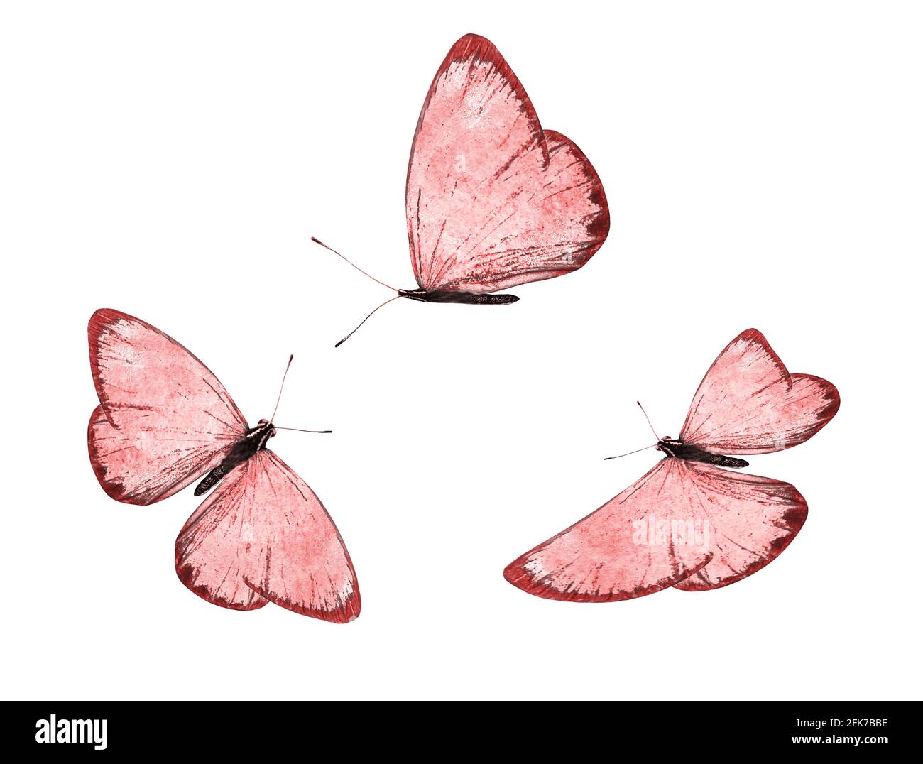 a set of beautiful red butterflies isolated on a white background ...
