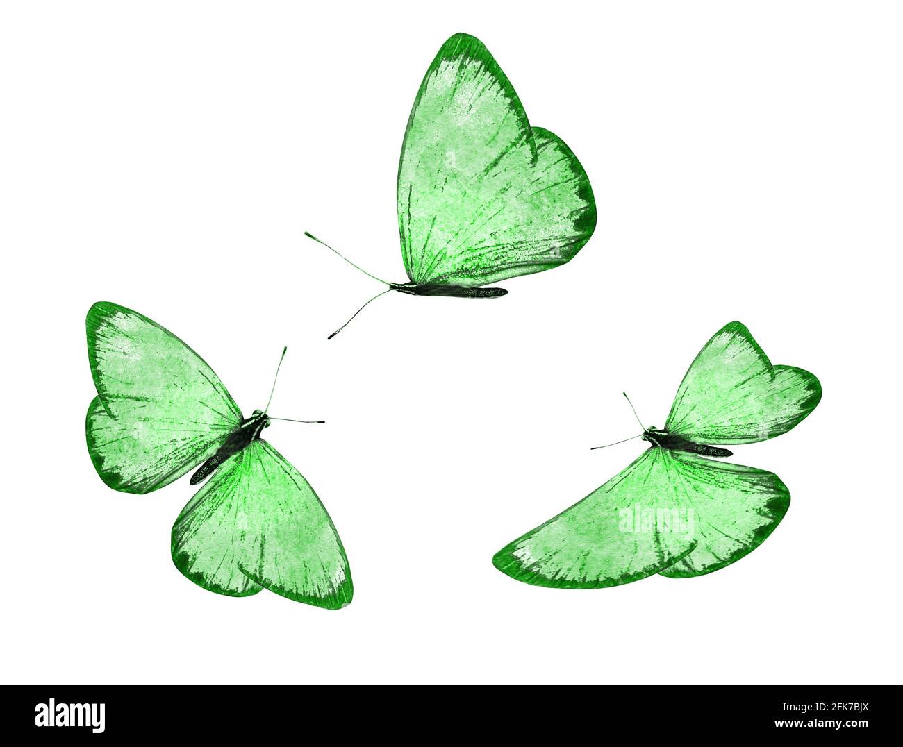 a set of beautiful green butterflies isolated on a white background ...