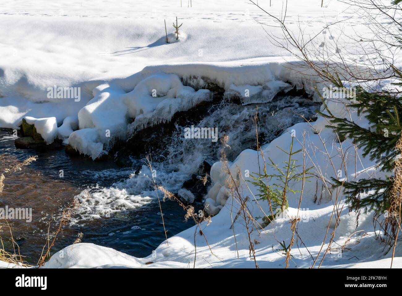 View at the water flowing from a frozen river in a forest Stock Photo ...