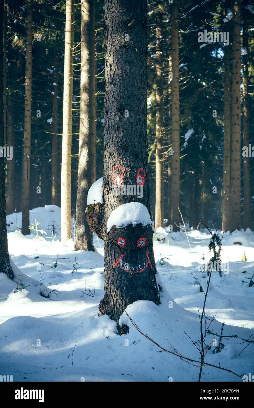 View at the winter forest with a smiley face drawn on a tree trunk ...