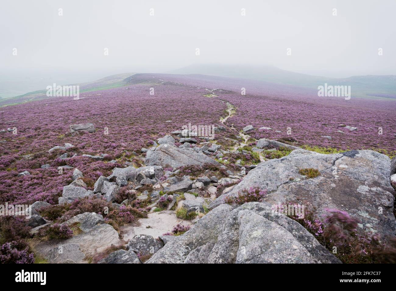 Hathersage booths woodland hi-res stock photography and images - Alamy