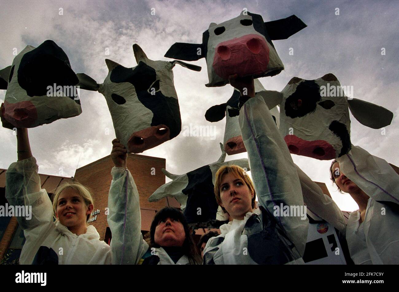 Dressed as cows hi-res stock photography and images - Alamy
