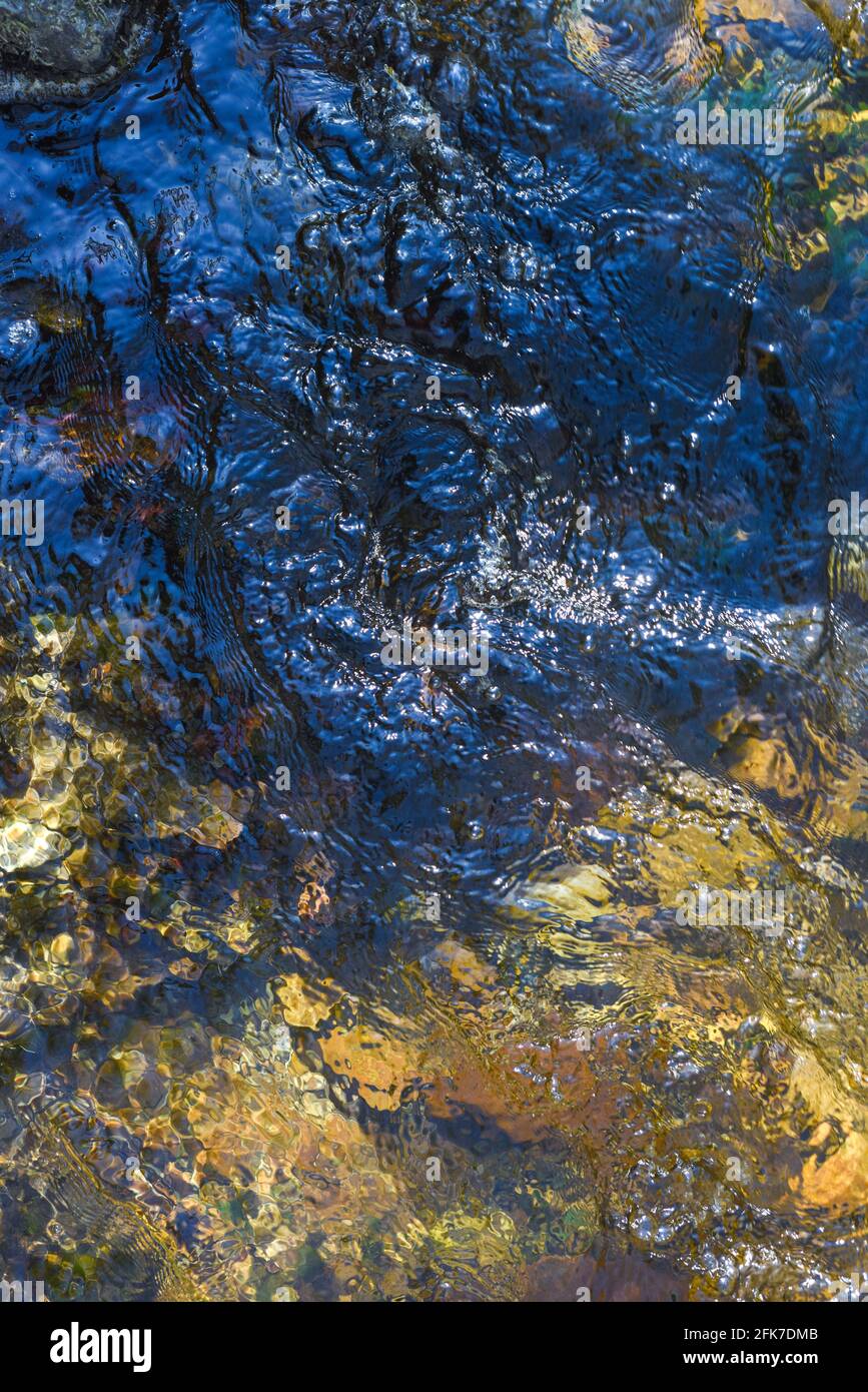 Calm flowing water in a small river is very clean and clear Stock Photo ...