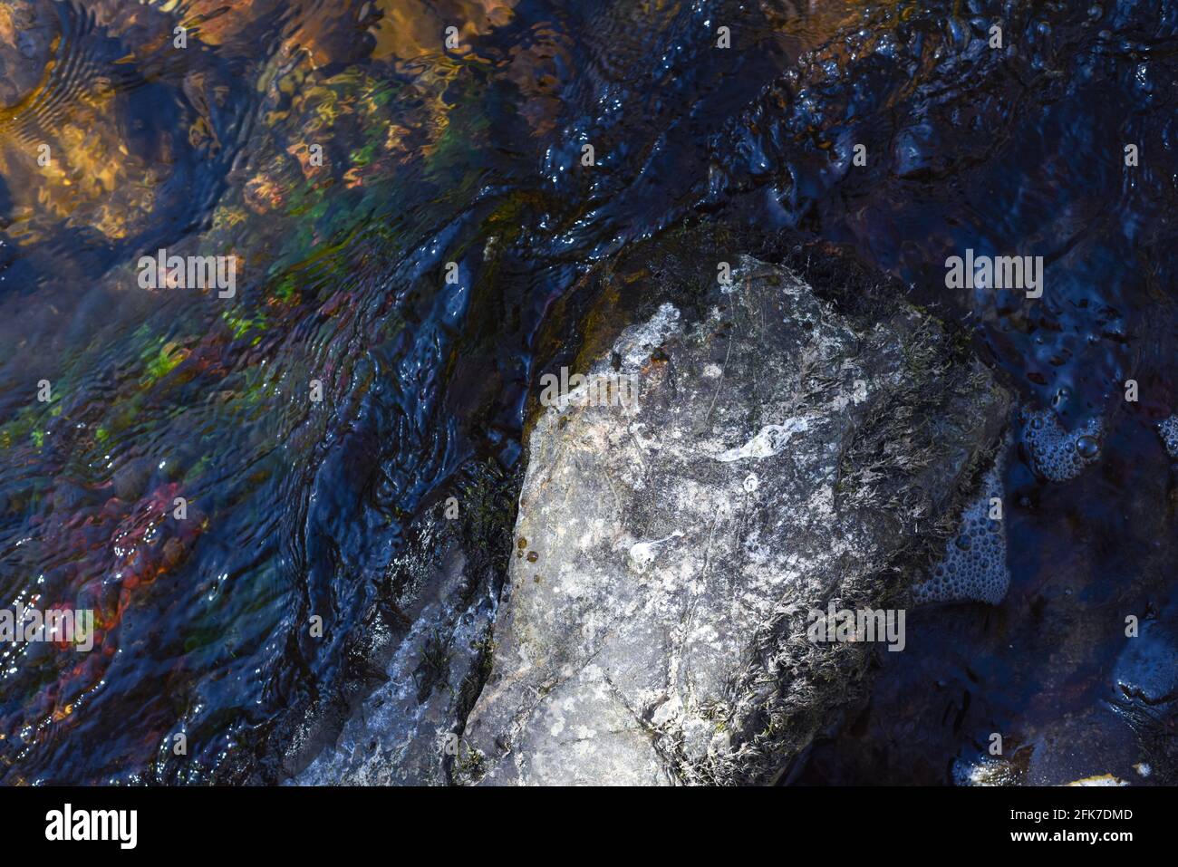 Calm flowing water in a small river is very clean and clear Stock Photo ...
