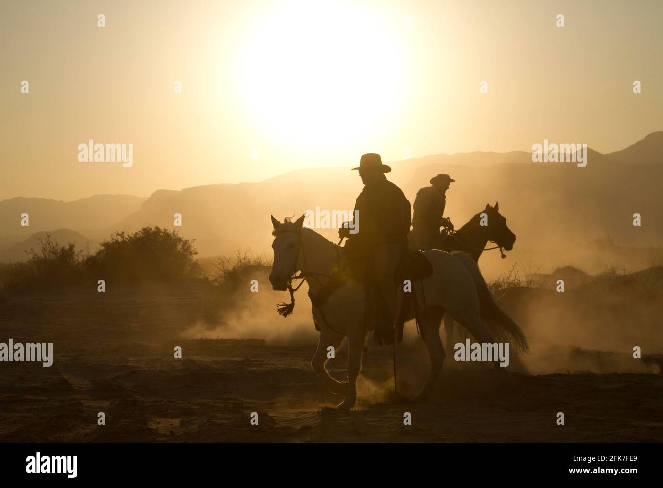Riding horses at sunset hi-res stock photography and images - Alamy