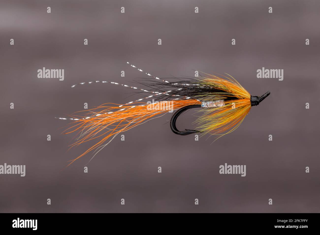 Salmon flies cascade hi-res stock photography and images - Alamy