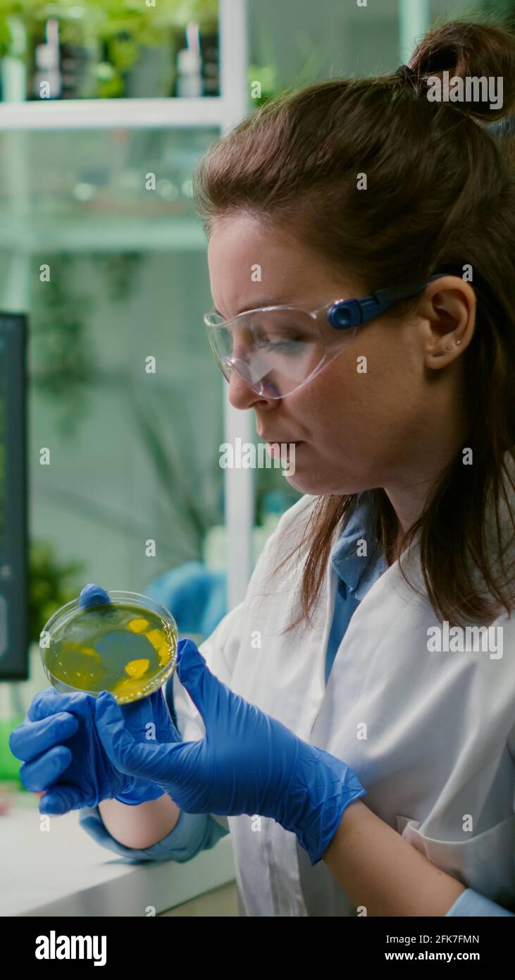 Pharmaceutical researcher analyzing solution test from petri dish for ...