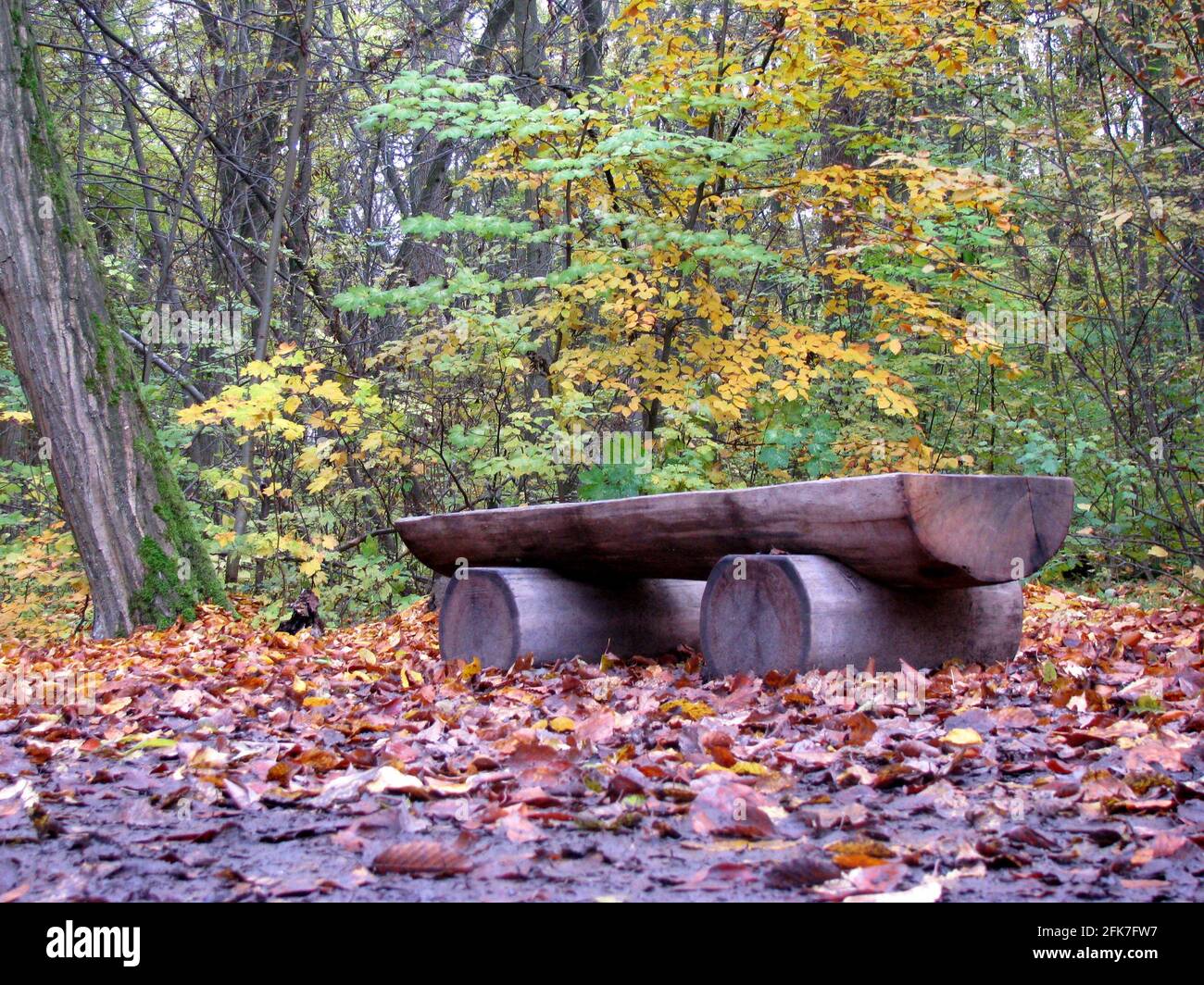 Bench shine hi-res stock photography and images - Alamy