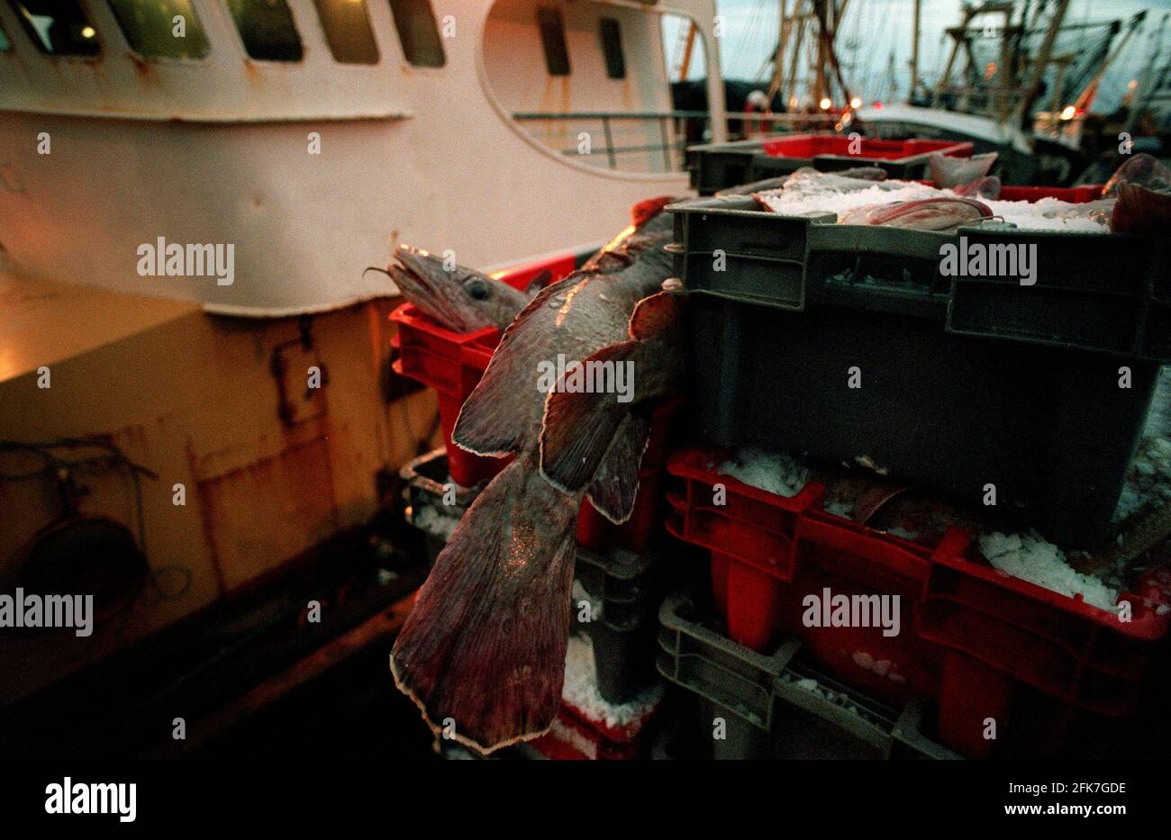 Fish on fishing deck hi-res stock photography and images - Alamy
