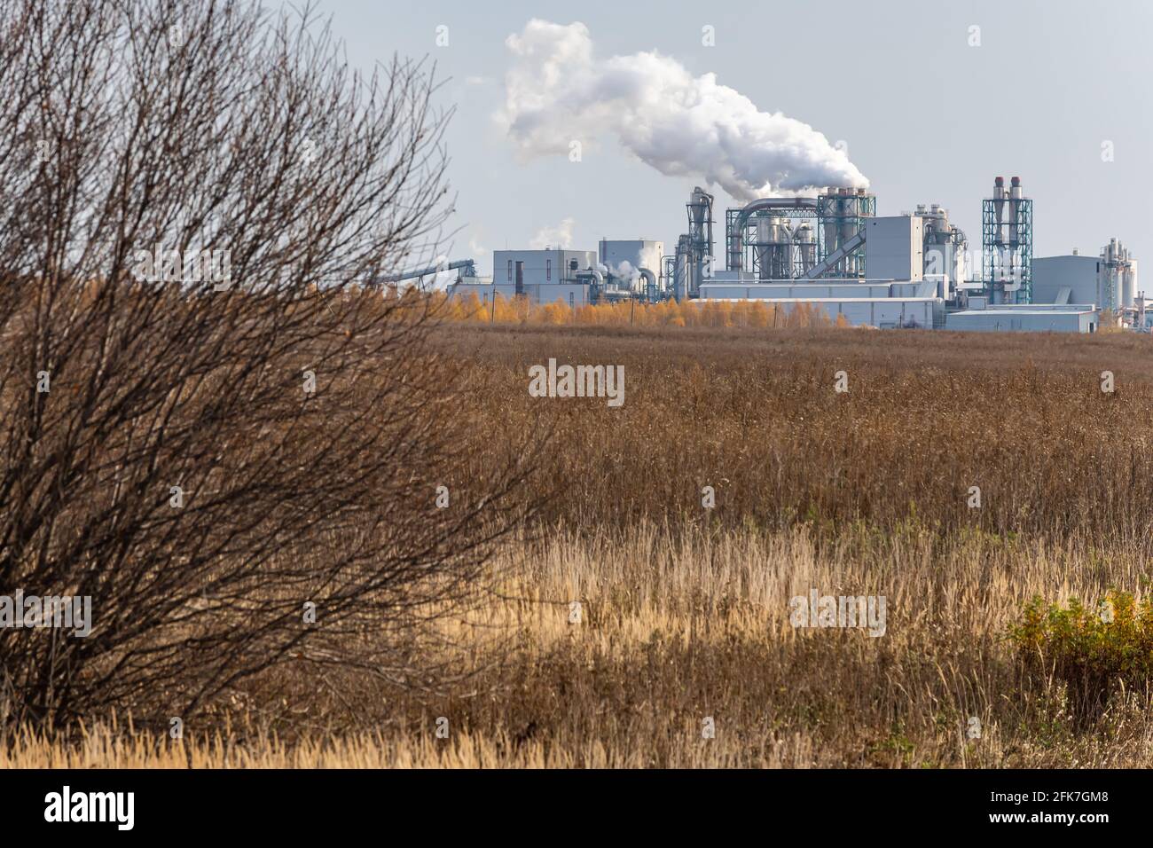 Chemical Plant factory with smoke stack. Smoke emission. Petrochemical ...