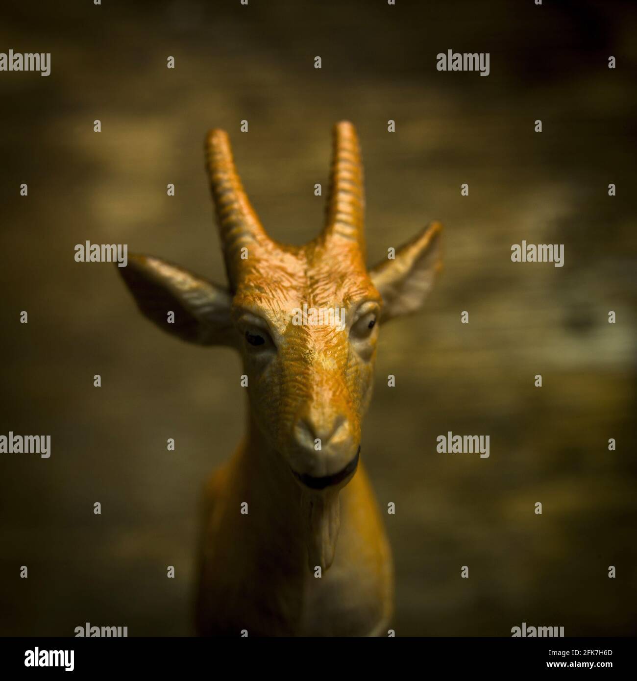 Toy goat hi-res stock photography and images - Alamy