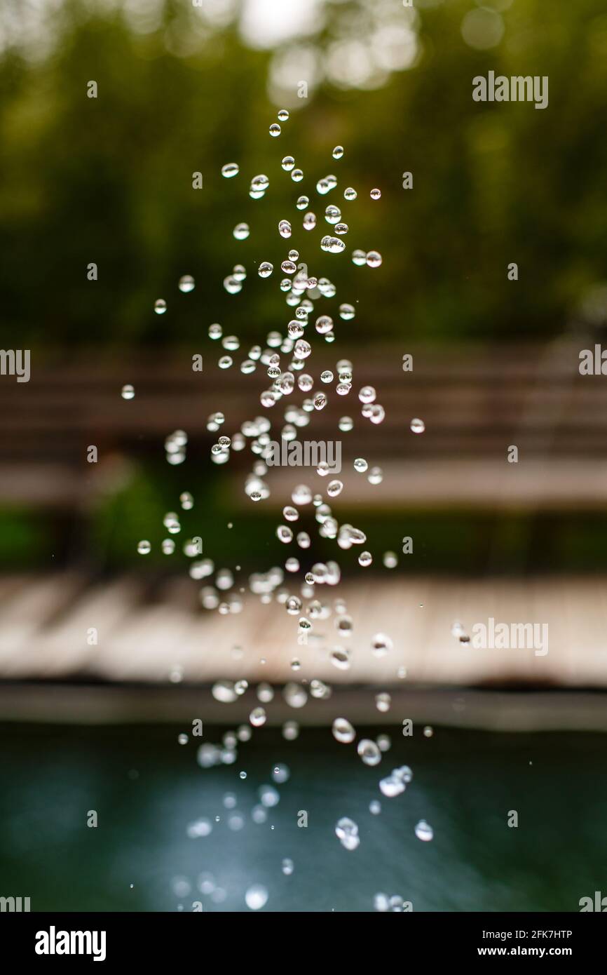 Close up of many drops of water on a natural green background Stock ...