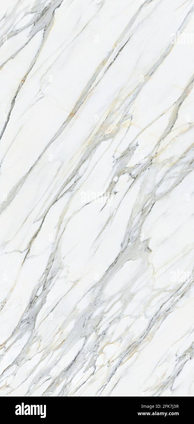 Statuario Marble Texture