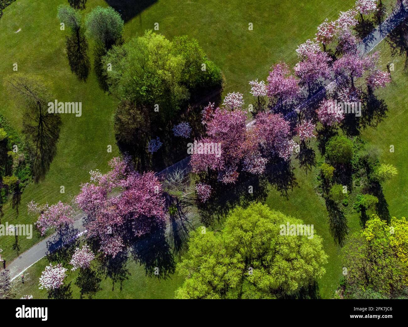 Wavertree botanical gardens hi-res stock photography and images - Alamy