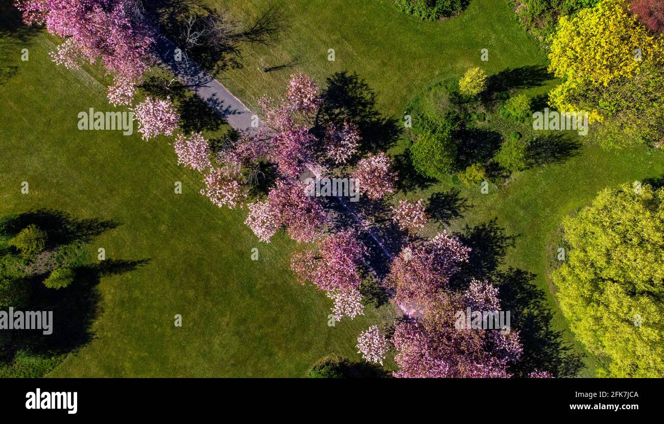 Wavertree botanical gardens hi-res stock photography and images - Alamy