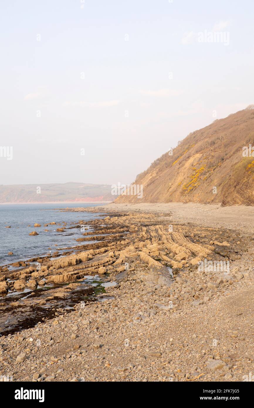 The rocky beach and cliffs at Bucks Mills, North Devon Stock Photo - Alamy