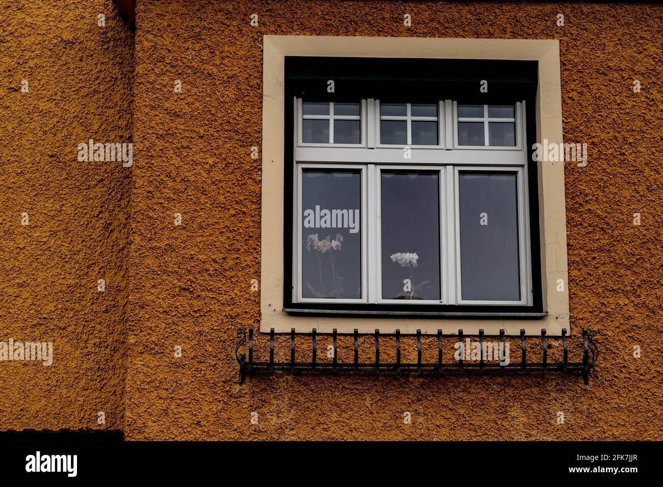 Window with wrought iron rails for flowers and flowers on the ...