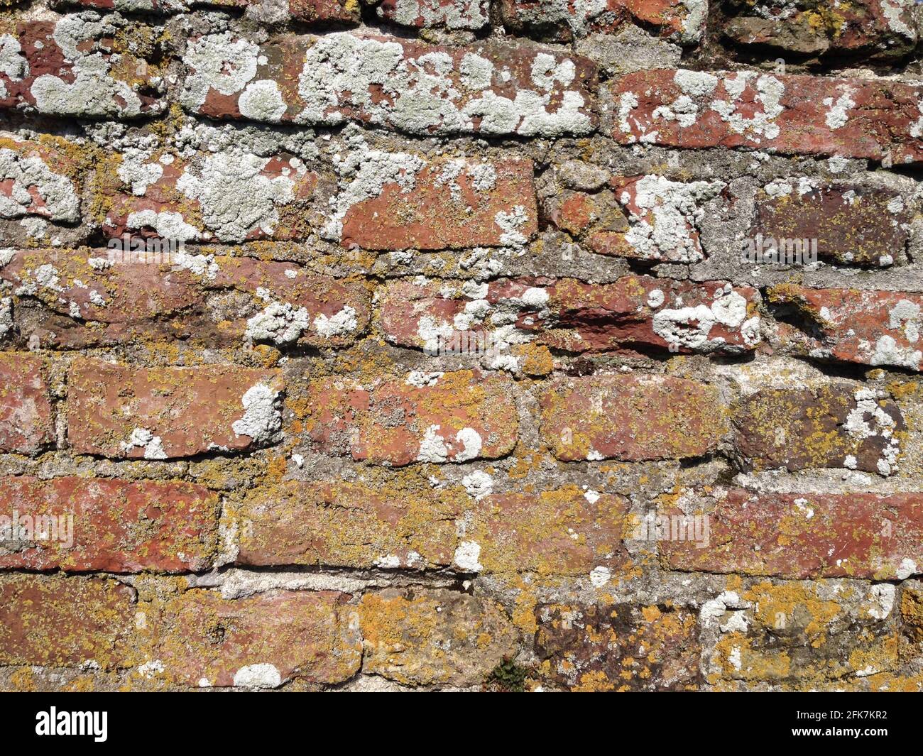Texture of an ancient brick wall with paint spots on the surface Stock ...