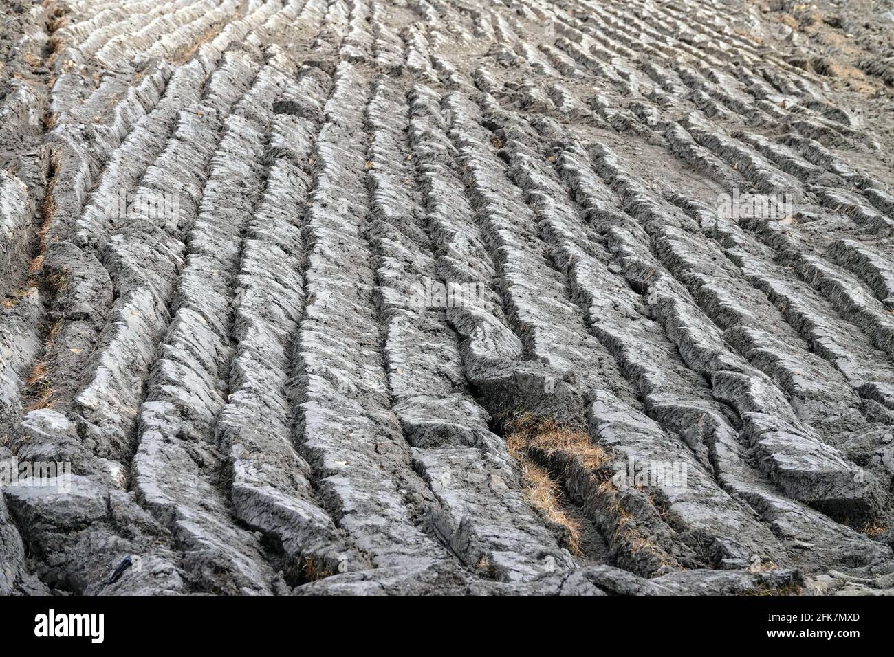 Ploughed field with furrows in pale clay soil, Matlock, Derbyshire ...