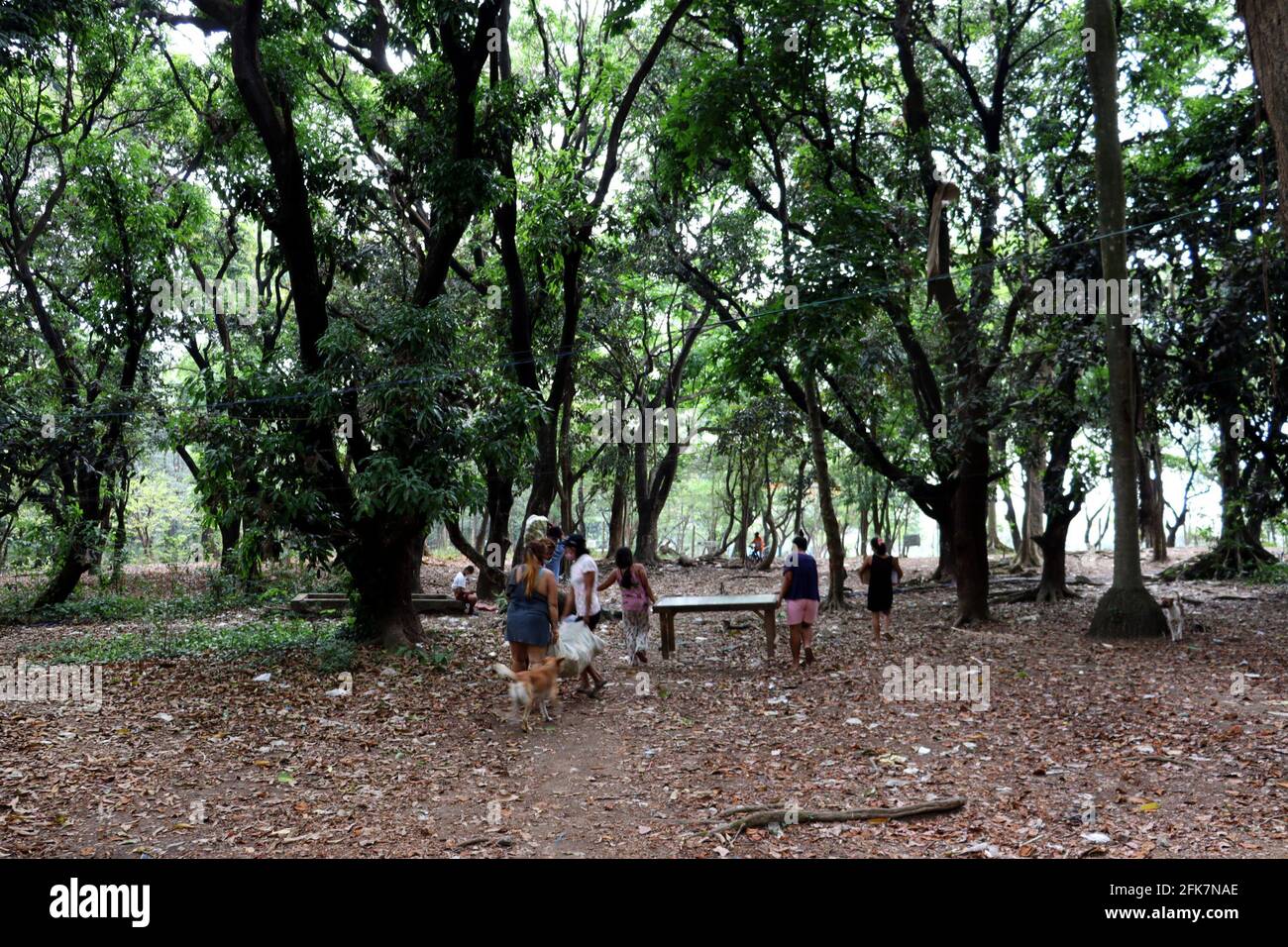 Philippines. 29th Apr, 2021. Pook Arboretum mini forest rises amid the ...
