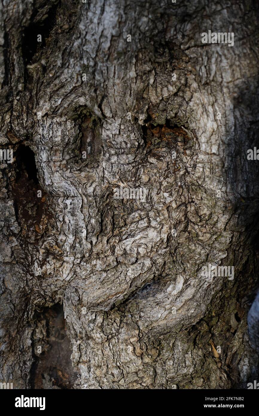 Facial pareidolia hi-res stock photography and images - Alamy