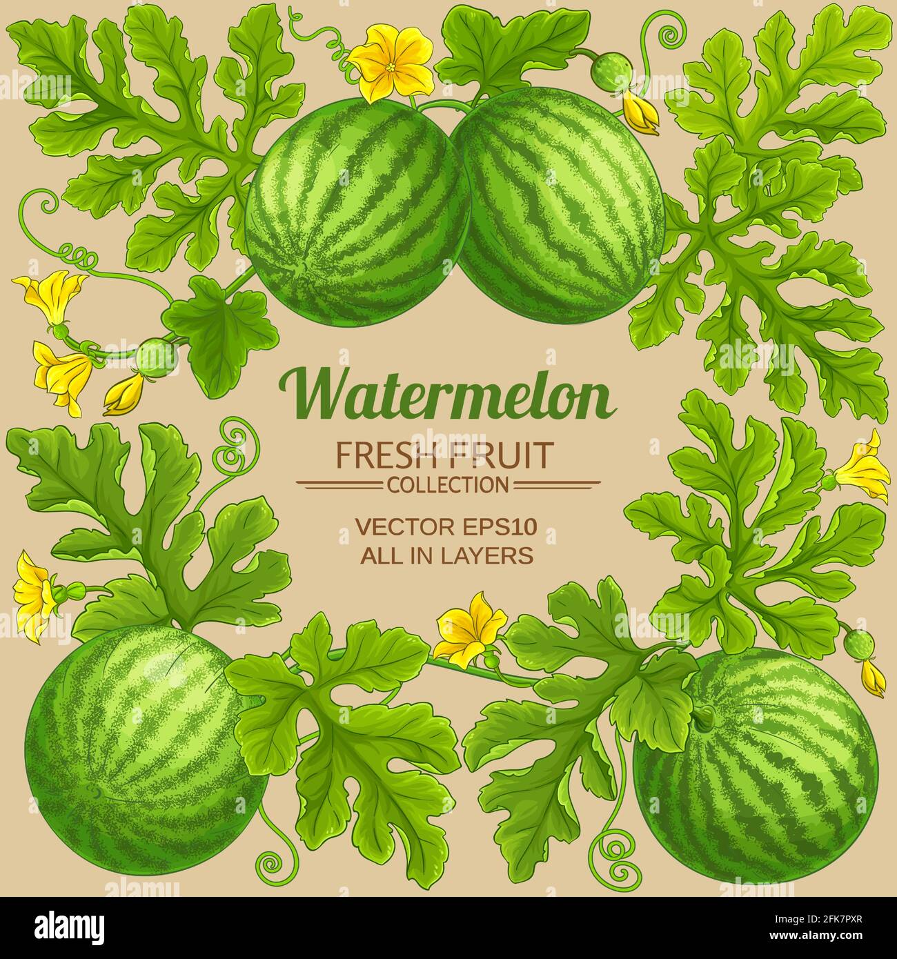 watermelon frame on color background Stock Vector Image & Art - Alamy
