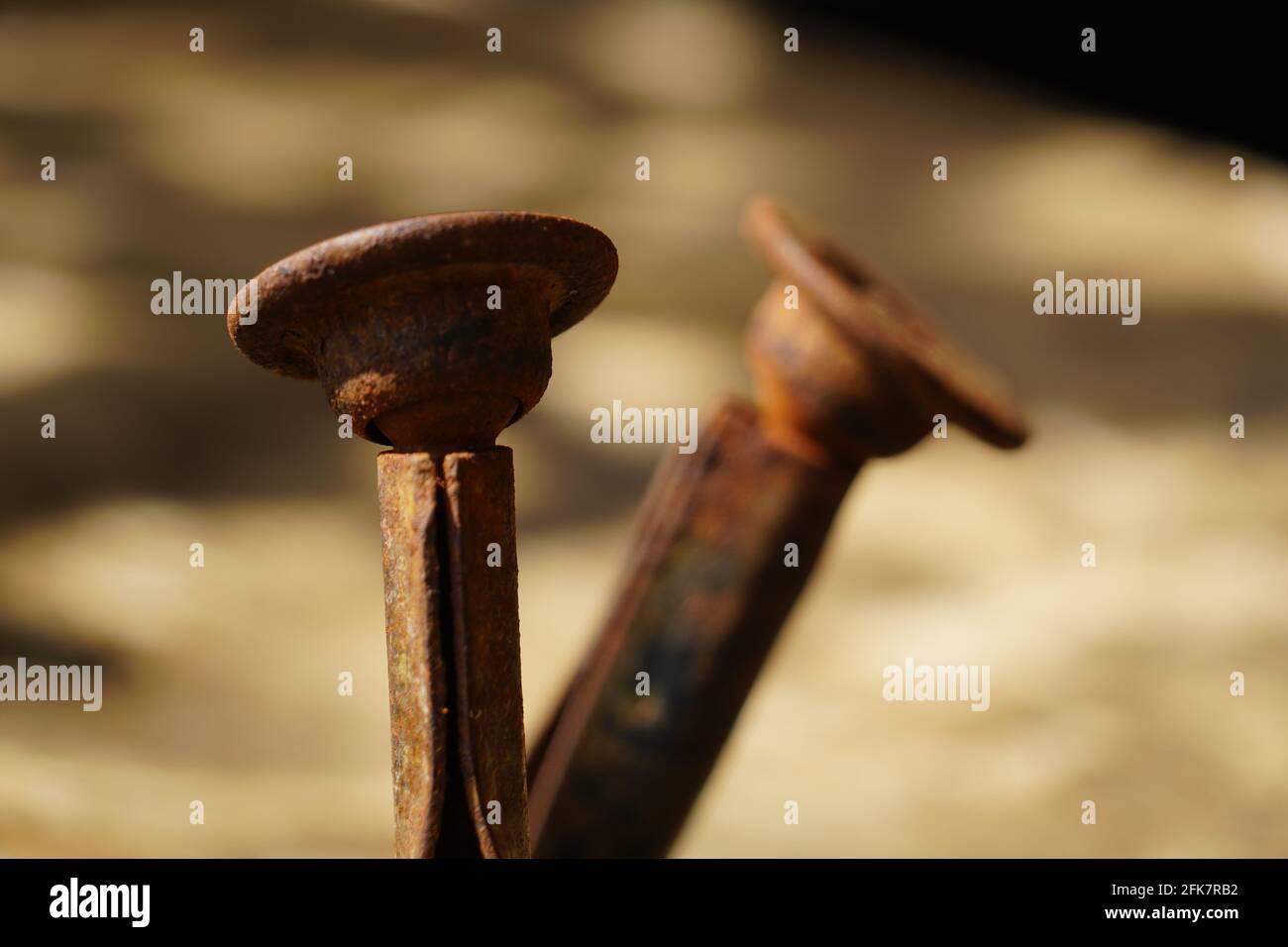 bent and crooked Rusty Nails closeup Stock Photo - Alamy